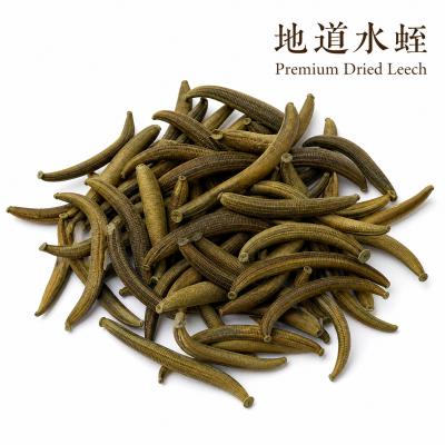 China Dried Medicinal Leech Hirudo nipponia Whole Body 0.3g/Bottle Shuizhi TCM Raw Material for sale