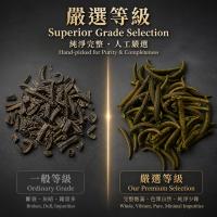 China Premium Dried Medicinal Leech Shuizhi - 100% Natural Low-temperature Dried Authentic Hirudo Nipponia for TCM for sale