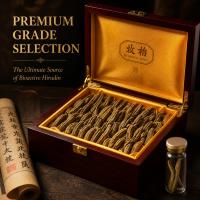 China Hirudo nipponia Premium Dried Leech Gift Box 1500 ATU/g | 0.3g × 15 Bottles | Shuizhi TCM Raw Material for sale