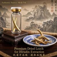 China Premium Hirudo nipponia Dried Leech 1500 ATU/g | 0.3g Bottle | Shuizhi TCM Raw Material for sale