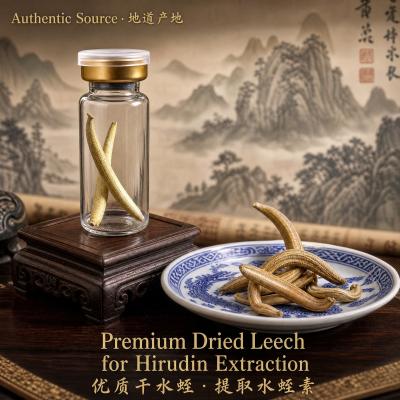 China Premium Hirudo nipponia Dried Leech 1500 ATU/g | 0.3g Bottle | Shuizhi TCM Raw Material for sale
