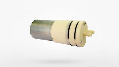 China AIRJET DC Brush Diaphragm Pump for Water and Air 00BH220H for sale