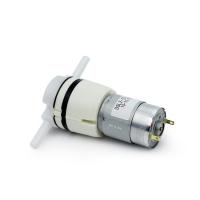 China FLOWMATE DC Brush Diaphragm Pump for Water DSL2-12-374 for sale