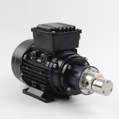 China FLOWDRIFT Magnetic Drive Gear Pump KGP-06K 220V 380VAC Asynchronous Motor Stainless Steel 316L Body PEEK Gears PTFE Sealing Food Grade for Beverage Filling Machine Chemical Metering Packing Machine for sale