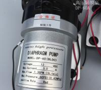 China FLOWEXPRESS Electric High Pressure Diaphragm Pump DP Series for sale