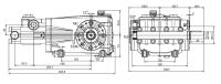 China FLOWMONSTER DSP-N High Pressure Triplex Plunger Pump 12-51LPM 150-600Bar/2175-8700Psi for sale