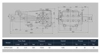 China FLOWMONSTER DSPEP High Pressure Triplex Plunger Pump 22LPM 800Bar 35KW for sale