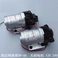 China FLOWEXPRESS Electric High Pressure Diaphragm Pump DP Series for sale