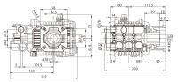 China FLOWMONSTER BM-F1 Fogging misting machine plunger pump driven by gasoline engine 11-15.5LPM 150-250Bar for sale