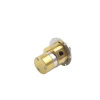 China FLOWDRIFT Electric Magnetic Drive Stainless Steel Gear Pump G200 YT/YY series for sale