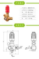 China FLOWGUARD unloader valve with by-pass VN350 0-350bar 40LPM for sale