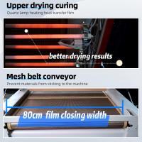 China DTF 80cm Film Width Printer Powder Shaker And Dryer Oven Machine For DTF Printing for sale