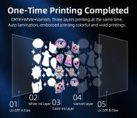 China 30cm UV DTF Printer Direct To Film Transparent Label Manufacturing Equipment for sale