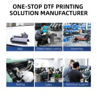 China 30cm DTF Printer XP600 Print Head DTF Pet Film Printer dtf dualhead printer i1600 for sale