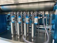 China 500KG Automatic Sauce Bottle Filler Machine with PLC Control System and Servo Motor Driven Piston Filling for sale