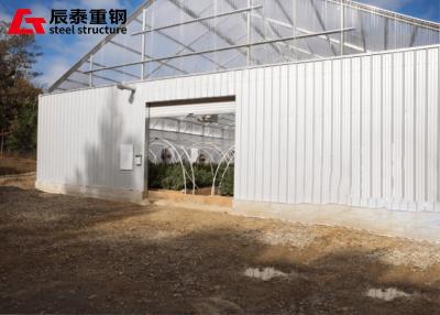 China 24' x 48' Steel Prefab Farm Building Greenhouse with 1152 ft² Processing Facility for sale