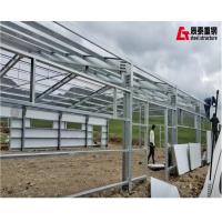 China Quick Install Steel Structure Poultry House with 300×300 H-Beam Frame and 50-100mm Thermal Insulation for sale