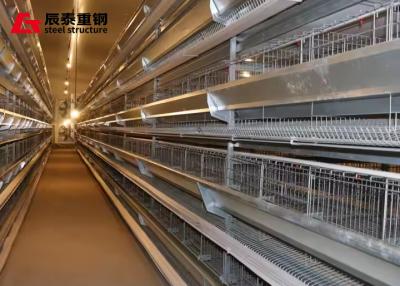 China Modern Prefab Poultry Steel Structure Building with Q235/Q345 Steel Frame and Automated Feeding Systems for Broiler Layer Farming for sale