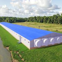 China Custom Steel Structure Chicken House with Sliding Doors - 240 km/h Wind Resistance & 30-Year Service Life for sale
