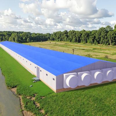 China Custom Steel Structure Chicken House with Sliding Doors - 240 km/h Wind Resistance & 30-Year Service Life for sale