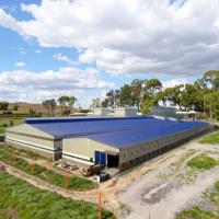 China Custom Steel Structure Chicken House - 30 Year Service Life, 240 km/h Wind Resistance, 600 g/m² Galvanization for sale