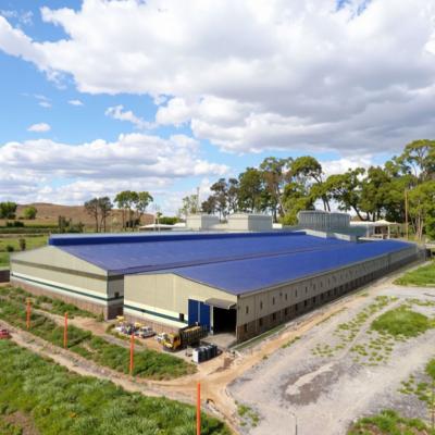 China Custom Steel Structure Chicken House - 30 Year Service Life, 240 km/h Wind Resistance, 600 g/m² Galvanization for sale