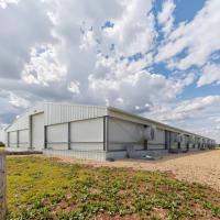 China Custom Prefab Steel Poultry Shed Q235B Q355 Galvanized 600g/m2 30 Year Life for sale