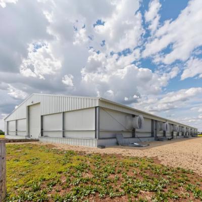 China Custom Prefab Steel Poultry Shed Q235B Q355 Galvanized 600g/m2 30 Year Life for sale