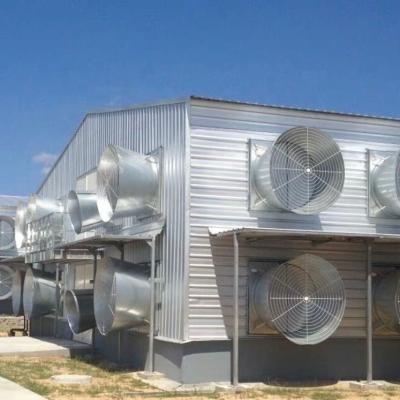 China Prefab Light-Steel Chicken Farm Building 50-100mm Insulation 120km/h Wind for sale