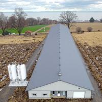 China Prefab Steel Chicken Shed Poultry Farm Building 9-15m Clear Span Customizable for sale