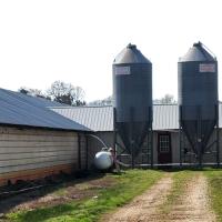China Easy Assemble Prefab Steel Chicken Shed 50 Year Lifespan 9-18m Clear Span for sale