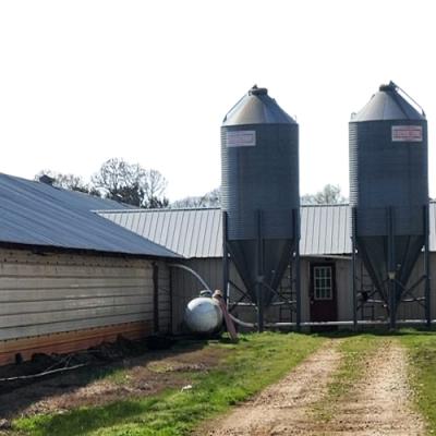 China Easy Assemble Prefab Steel Chicken Shed 50 Year Lifespan 9-18m Clear Span for sale