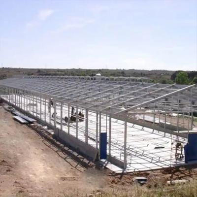 China Hot Dip Galvanized Prefab Steel Poultry Farm Building 600g m2 30 Year Life for sale