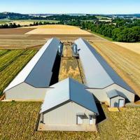China High Strength Heavy Steel Structure Breeding Shed for Large Livestock Feeding for sale