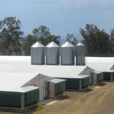 China High Strength Heavy Steel Structure Breeding Shed for Large Livestock Feeding for sale