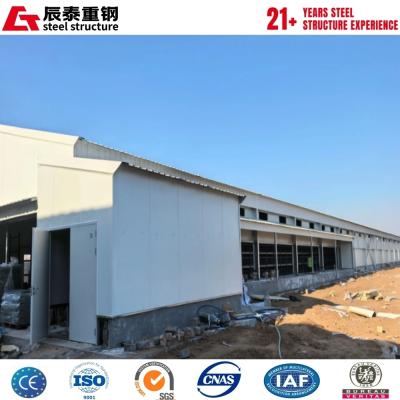 China H Section Steel Structure Livestock Greenhouse Glass Walls 50 Year Service Life Wind Resistance Grade 12 for sale