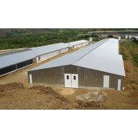 China Agricultural Steel Prefabricated Farm Building Chicken House 600g/m2 Galvanized 30 Year Life for sale