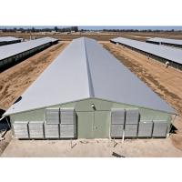 China Commercial Steel Structure Prefab Chicken Broiler Poultry Farm Building 30m Clear Span for sale