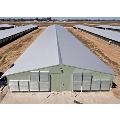 China Commercial Steel Structure Prefab Chicken Broiler Poultry Farm Building 30m Clear Span for sale