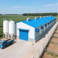 China Prefabricated Steel Structure Poultry Layer Broiler Farm Building 1000-5000 Birds for sale