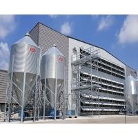 China Prefabricated Steel Structure Layer Broiler Chicken Farm Building Q235 Steel 20 Year Life for sale
