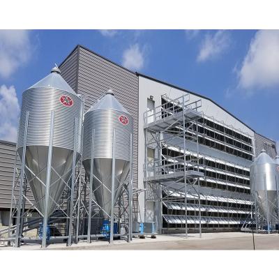 China Prefabricated Steel Structure Layer Broiler Chicken Farm Building Q235 Steel 20 Year Life for sale