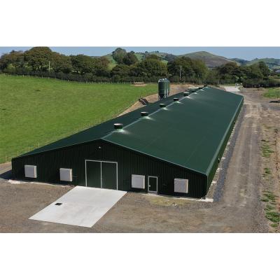China Prefab Poultry Farm Building Steel Structure for Layer Broiler Chicken 5m-9m Bay for sale
