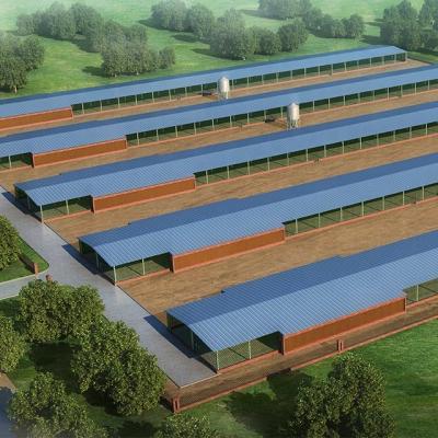 China G550 Galvanized Steel Layer Broiler Chicken House Building 75 Year Lifespan for sale