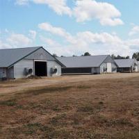 China Prefabricated Steel Structure Chicken House G550 Galvanized Poultry Farm Building 75 Year Lifespan for sale