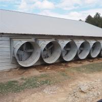 China Prefabricated Steel Structure Chicken House 75 Year Durability for Poultry Farm Building for sale