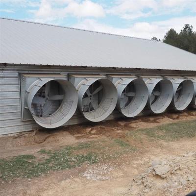 China Prefabricated Steel Structure Chicken House 75 Year Durability for Poultry Farm Building for sale