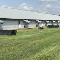 China Prefab Lightweight Steel Building for Poultry Farm 5-30m Span for sale