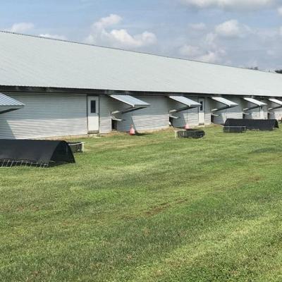 China Prefab Lightweight Steel Building for Poultry Farm 5-30m Span for sale