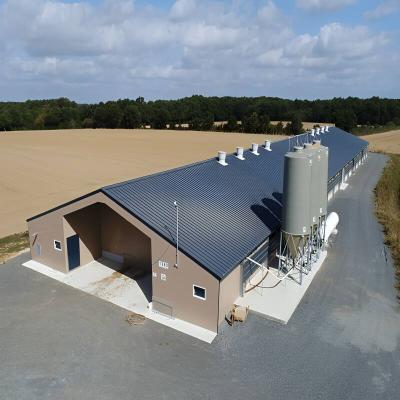China Prefab Light Steel Chicken House Poultry Farm Building 6-30m Span for sale